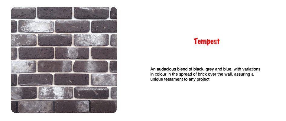 recycled bricks tempest | Greenway Systems